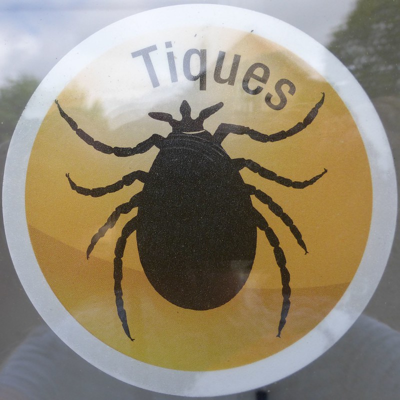 les huiles essentielles contre les tiques | Acerola, blog naturo